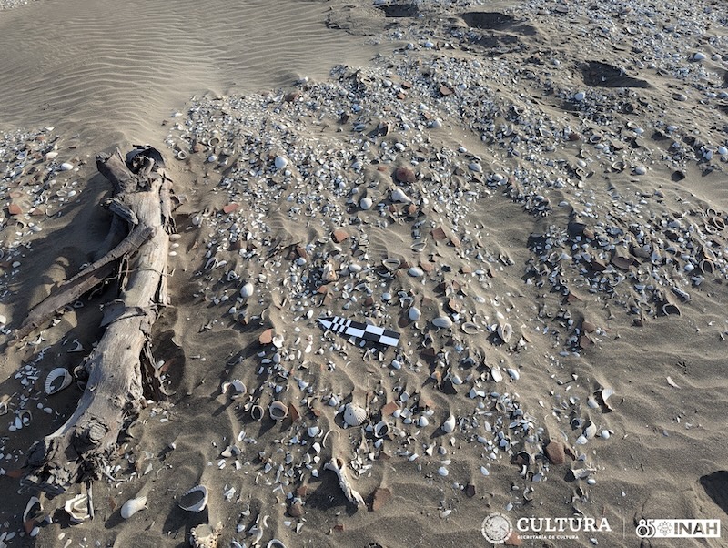 Descubren sitio de concheros en Isla Macapule, frente a las costas de ...